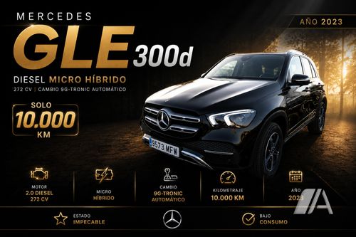 1 Mercedes-benz GLE 300 Diésel de segunda mano y ocasión en Vizcaya ...