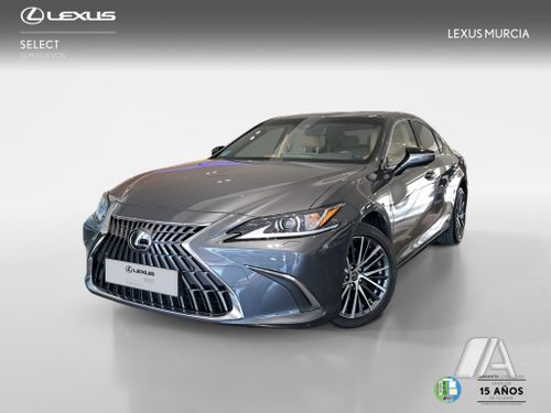 LEXUS MURCIA. | Concesionario en Murcia | Autocasión