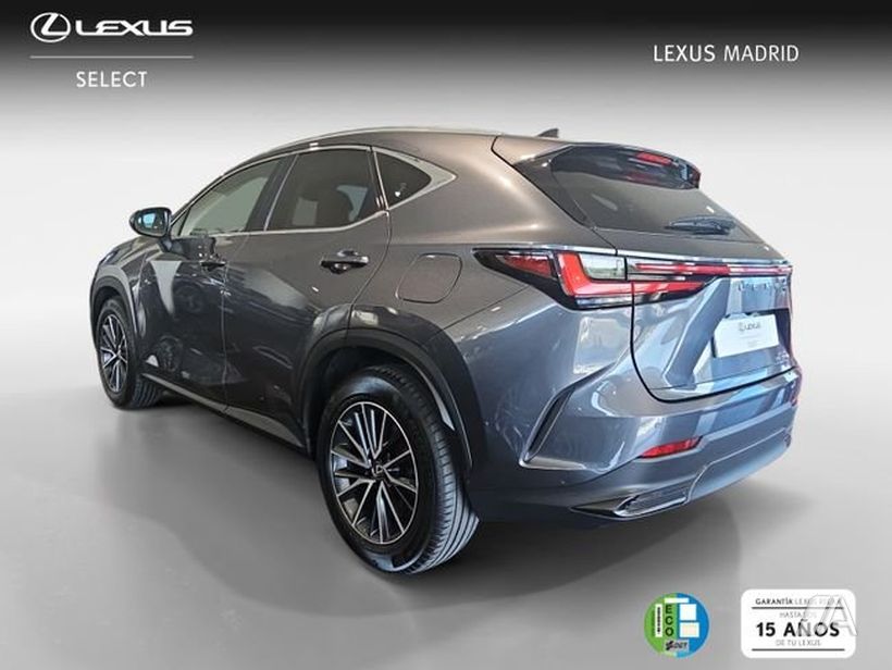 LEXUS NX (2022) - 41.990 € en Madrid