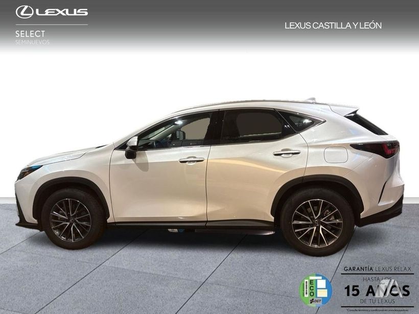 LEXUS NX (2024) - 50.900 € en Valladolid